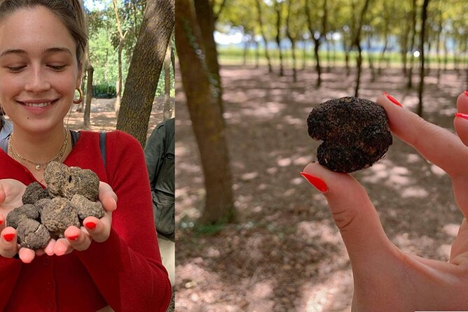 Experience Tuscan Truffle Hunting With Wine and Lunch - Morning and Afternoon Booking Options