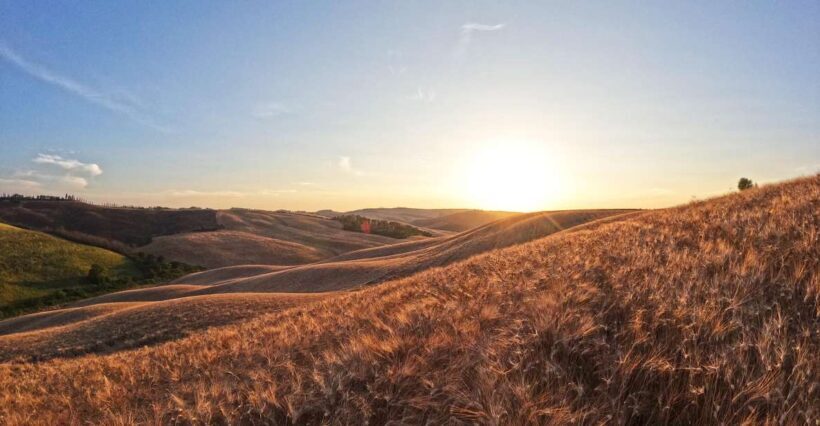 Experience with birds of prey in Tuscany - Setting and Location: Tuscany’s Stunning Landscape