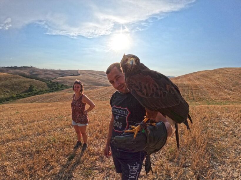 Experience with birds of prey in Tuscany - Final Words