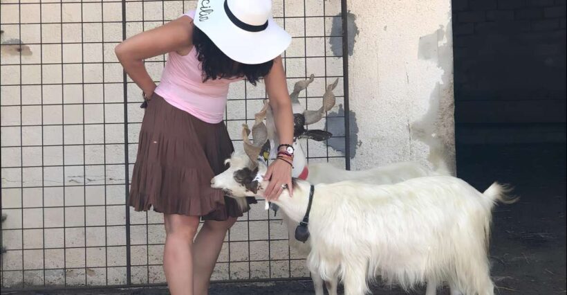 Experience with Girgentan goats in Agrigento - Key Points