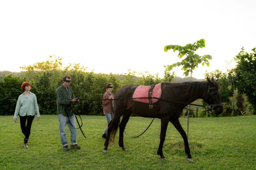 Experiential activity with horses: an experience in connection - FAQ