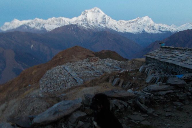 Experiential Career Break trip to Nepal for Gap year and Sabbatical travelers - What Travelers Say