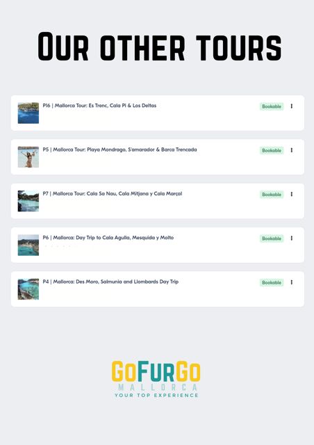 Experinence in Mondrago /S'amarador / Trencada Snorkel y SUP - Authentic and Practical Aspects