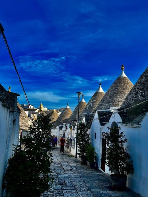 Expert Guided Tour & Tasting, Alberobello - The Experience: What to Expect from the Alberobello Tour
