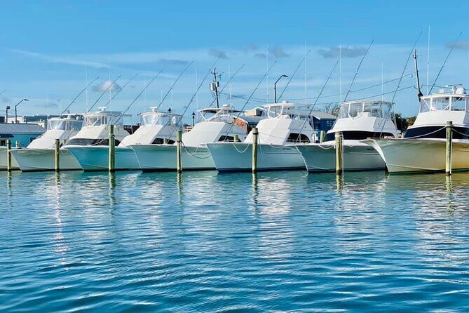 Exploration of Majestic Crystal Coast - Key Points