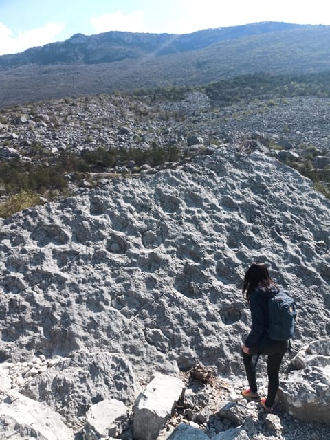 Exploration of the largest landslide in the Alpine arc - The Itinerary: What’s Included and What to Expect