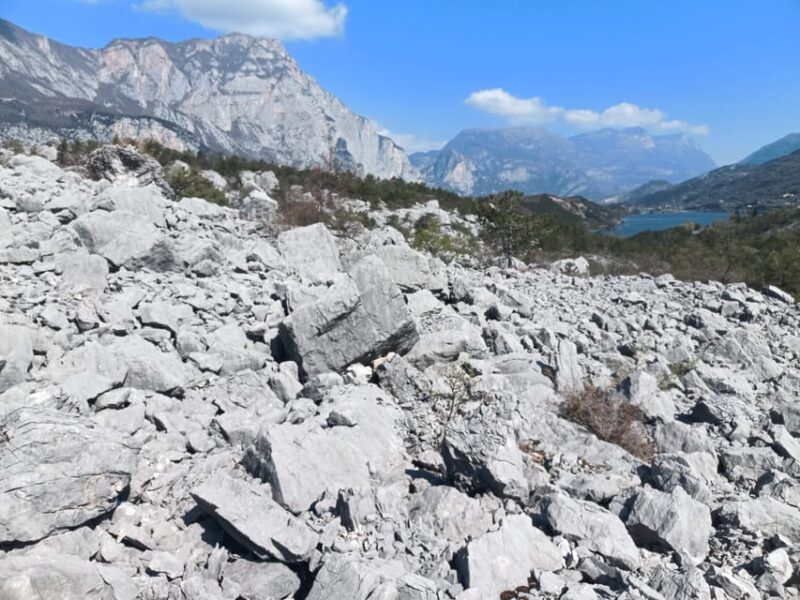 Exploration of the largest landslide in the Alpine arc - What Travelers Are Saying