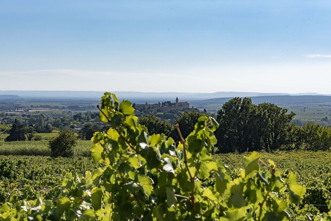 EXPLORATION - Visit of the estate, the cellars & tasting - Introduction