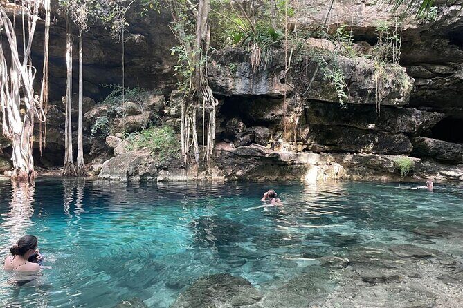Explore 4 Amazing Cenotes with Lunch Tour from Merida - The Experience: What You Can Expect