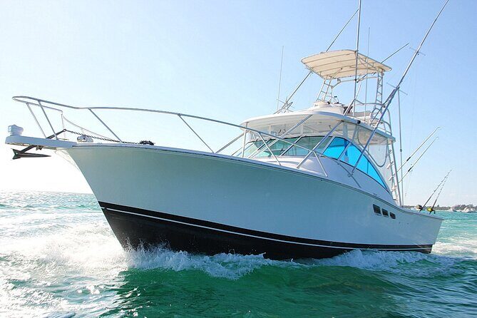 Explore 4H of Private Deep Sea Fishing in Punta Cana - What to Expect on Your Deep Sea Fishing Trip