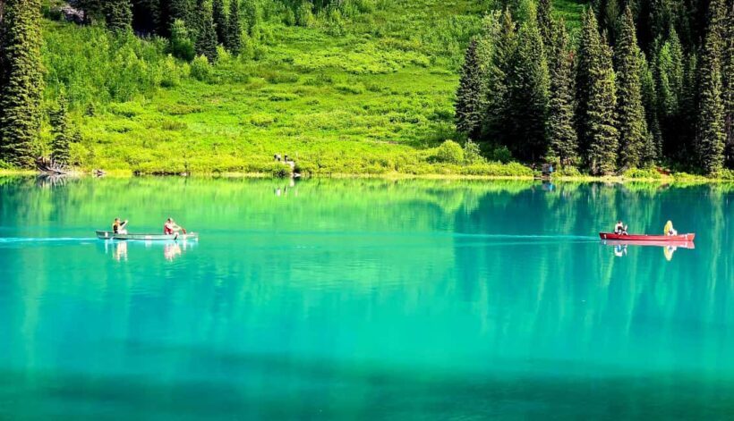 Explore 9 Spots: Private Customizable Banff Icefield Tour - The Sum Up