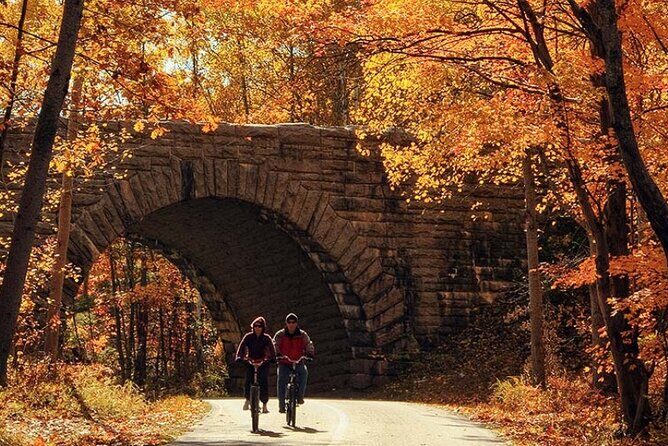 Explore Acadia with Ease Premium E-bike Rentals and Free Delivery - Exploring Acadia with Ease: A Review of Premium E-bike Rentals and Free Delivery
