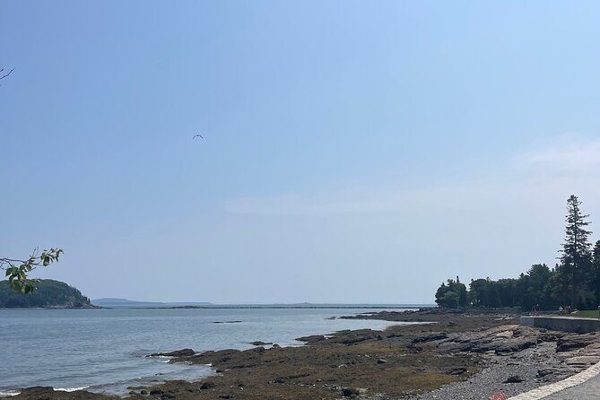Explore Acadia with Ease Premium E-bike Rentals and Free Delivery - What to Expect from Your Acadia E-bike Adventure
