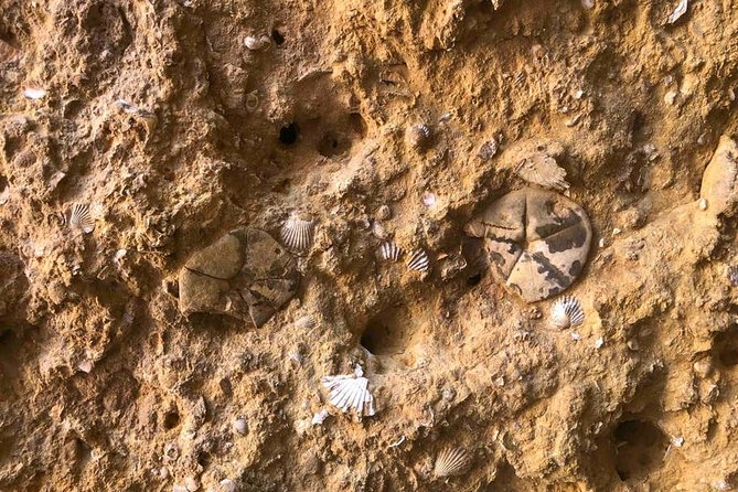 Explore Algarve Caves & Wild Beaches Kayak Tour - FAQs