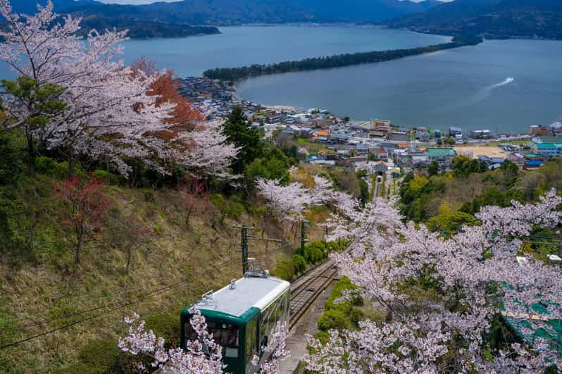 Explore Amanohashidate & Ine Bay: Day Tour From Osaka - Key Points