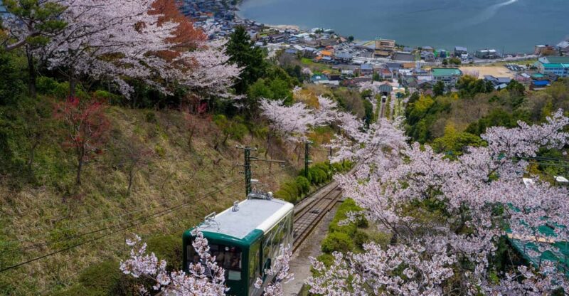 Explore Amanohashidate & Ine Bay: Day Tour From Osaka - Inclusions