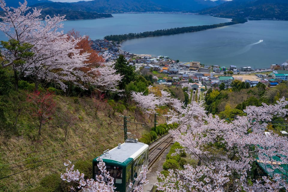 Explore Amanohashidate & Ine Bay: Day Tour From Osaka - Amanohashidate: Scenic Viewpoint