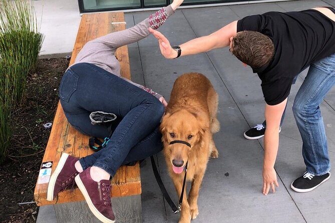 Explore Anaheim with a Unique Scavenger Hunt by Wacky Walks - Who Will Love It?