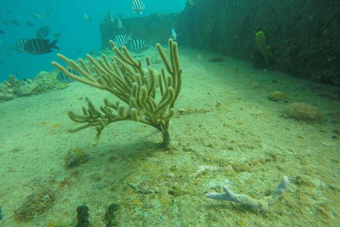 Explore and Discover Barbados By Land & By Sea - The Sum Up