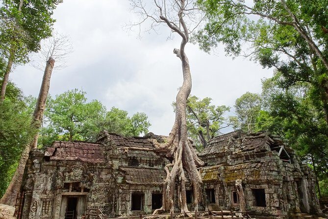 Explore Angkor Wat and Ta Phrom in depth - Authentic Experiences and Authenticities