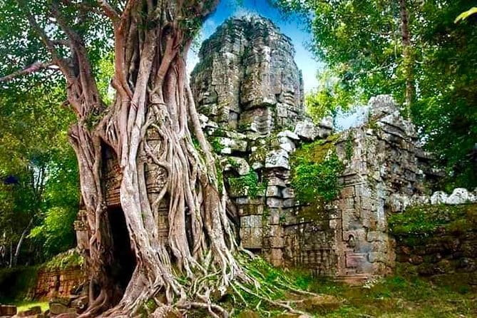 Explore Angkor Wat Sunrise Small Tour Private VIP Car - A Closer Look at the Itinerary