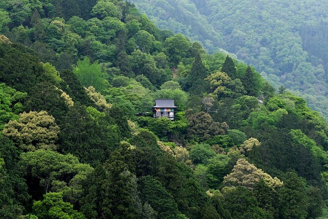 Explore Arashiyama Bamboo Forest with Authentic Zen Experience - The Value of Authenticity and Expertise