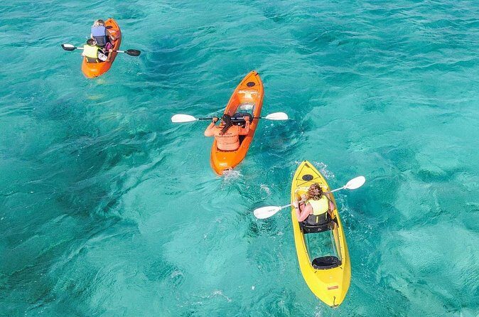 Explore Aruba Coastline with Kayaking Tour - The Experience in Detail