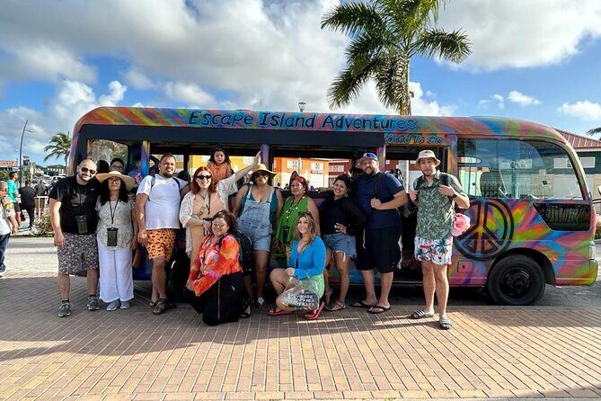 Explore Aruba with Escape Aruba(Private) - Who Should Consider This Tour?