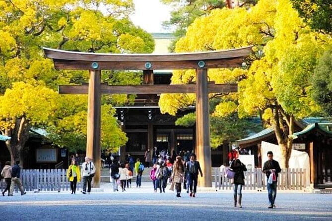 Explore Asakusa Family Food Tour Fun Free for Kids With Guide - Authentic Experiences That Make a Difference
