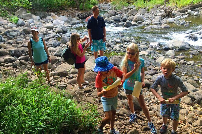 Explore Authentic Guadeloupe with a Local Multilingual Guide - A Comprehensive Look at the Guadeloupe Adventure