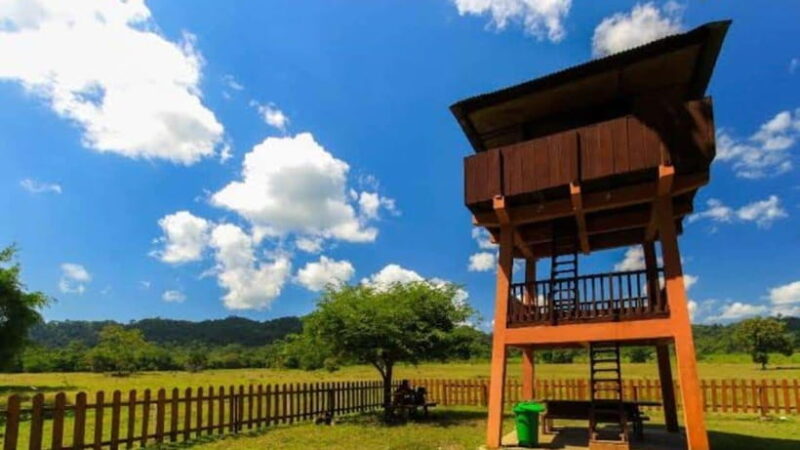 Explore Banyuwangi 3 day 2 night - Who Should Consider This Tour?