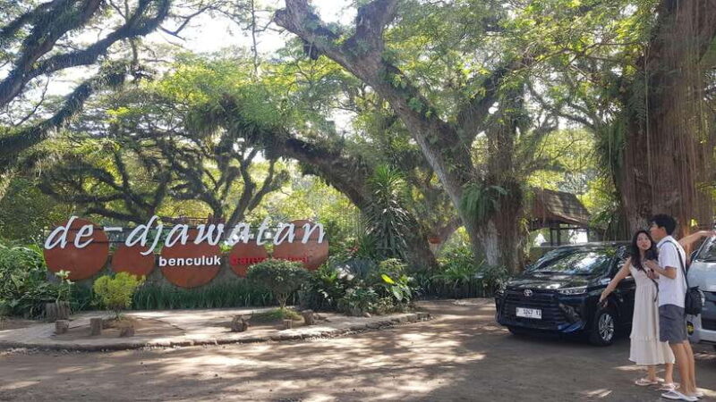 Explore Banyuwangi By Menara Timur Tour & Travel - Final Thoughts: Is This Tour Right for You?