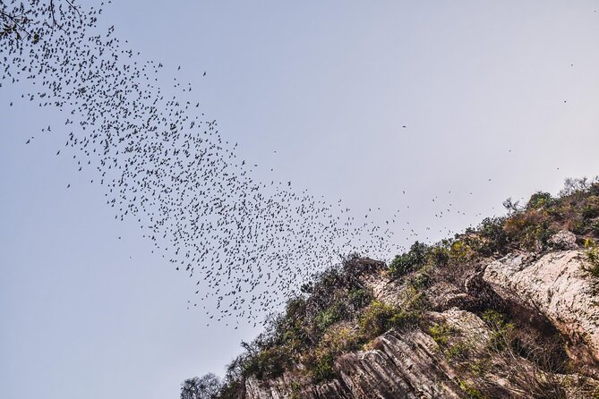 Explore Battambang full day tour by Tuk Tuk (start from 9am-6:30pm) - What Makes This Tour Stand Out?