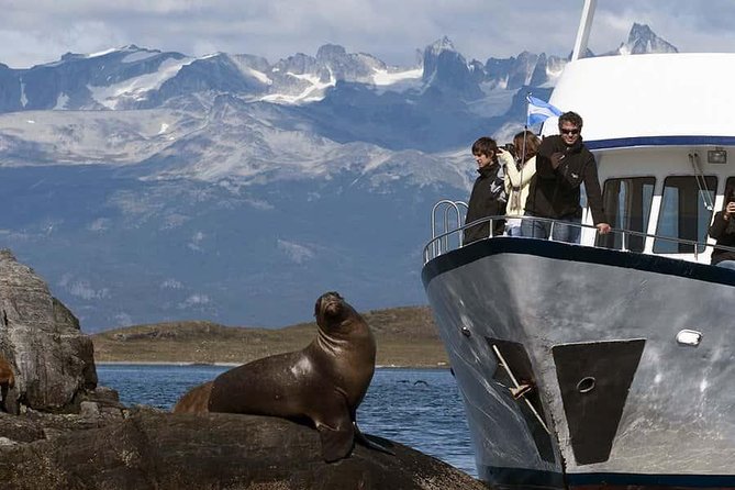 Explore Beagle Channel and Sea Lions Island on a Catamaran Cruise - Exploring Bird Islands Avian Diversity