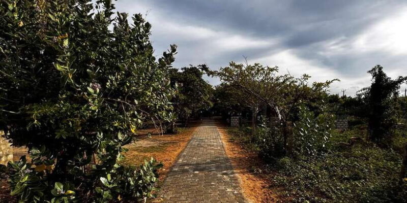 Explore beautiful trincomalee with a tour guide - Discovering the Beaches of Trincomalee