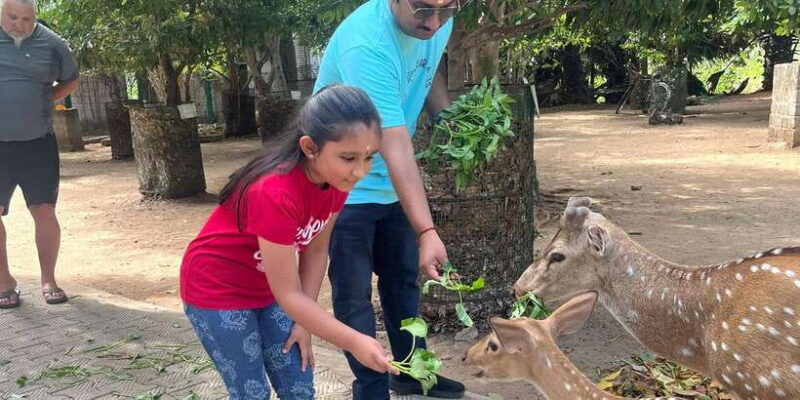 Explore beautiful trincomalee with a tour guide - Cultural Immersion and Local Experiences