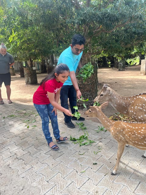 Explore beautiful trincomalee with a tour guide - Authenticity and Local Insights
