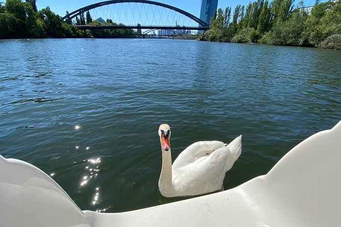Explore Bird & Marine Wildlife private Boat Tour in English - FAQ