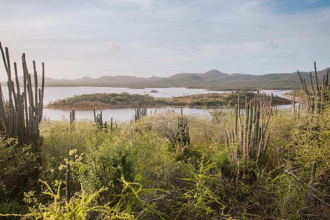 Explore Bonaire: North & South Tour - Reviews at a Glance