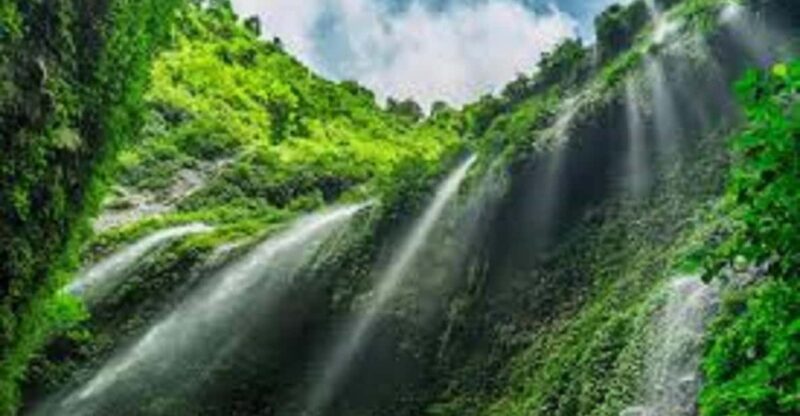 Explore Bromo Madakaripura Fall and Kawah Ijen (3D/2N) - FAQ