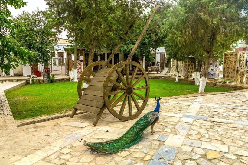 Explore Bukhara Countryside with Local Lunch Experience - The Itinerary Breakdown: What You’ll Experience