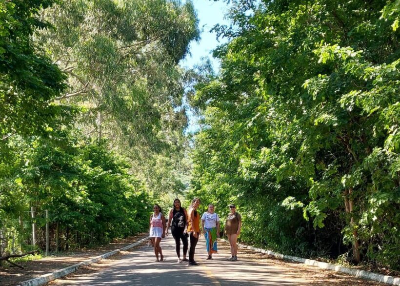 Explore Búzios: Stunning Views on the Emerências Trail - Key Points