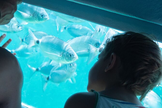 Explore Cap Norfeu and the Secret Cave: An Underwater World - Accessibility and Inclusivity Considerations