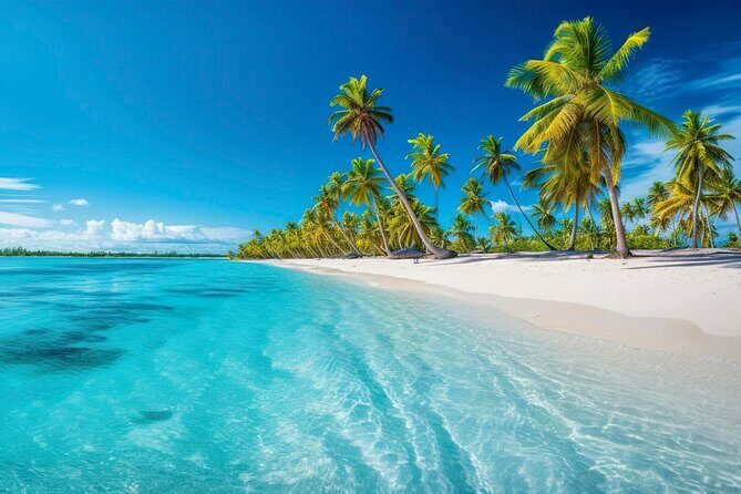 Explore Catalina Island & Snorkeling Adventure from Punta Cana - Key Points