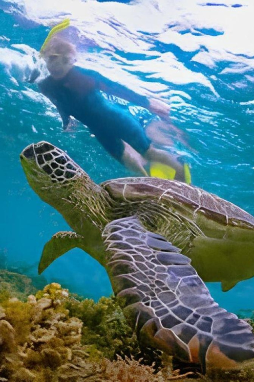 Explore Cham Island: Sightseeing and Snorkeling Adventure - Visiting Cultural and Natural Highlights