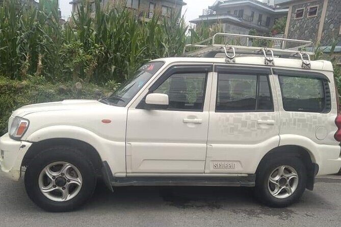 Explore Chitwan National Park in Comfort with our Private Vehicle Service - Exploring Chitwan National Park in Comfort with a Private Vehicle Service