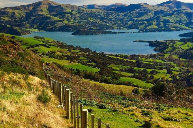 Explore Christchurch (2hr Guided Private Walk) - FAQ