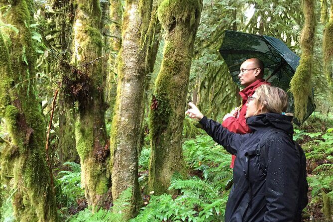 Explore Coastal Mountain Treasures: Scenic Hike from Squamish, BC - The Value of the Tour