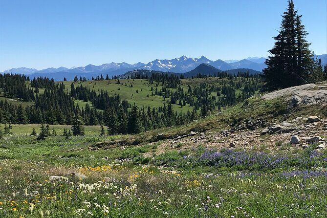 Explore Coastal Mountain Treasures: Scenic Hike from Squamish, BC - The Sum Up: Who Will Love This Tour?