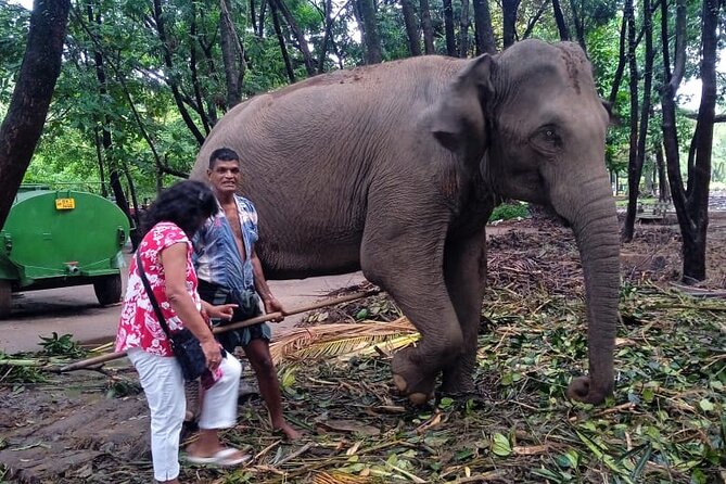 Explore Colombo by Tuk Tuk Morning & evening (Private Tours) - Transportation and Practical Details